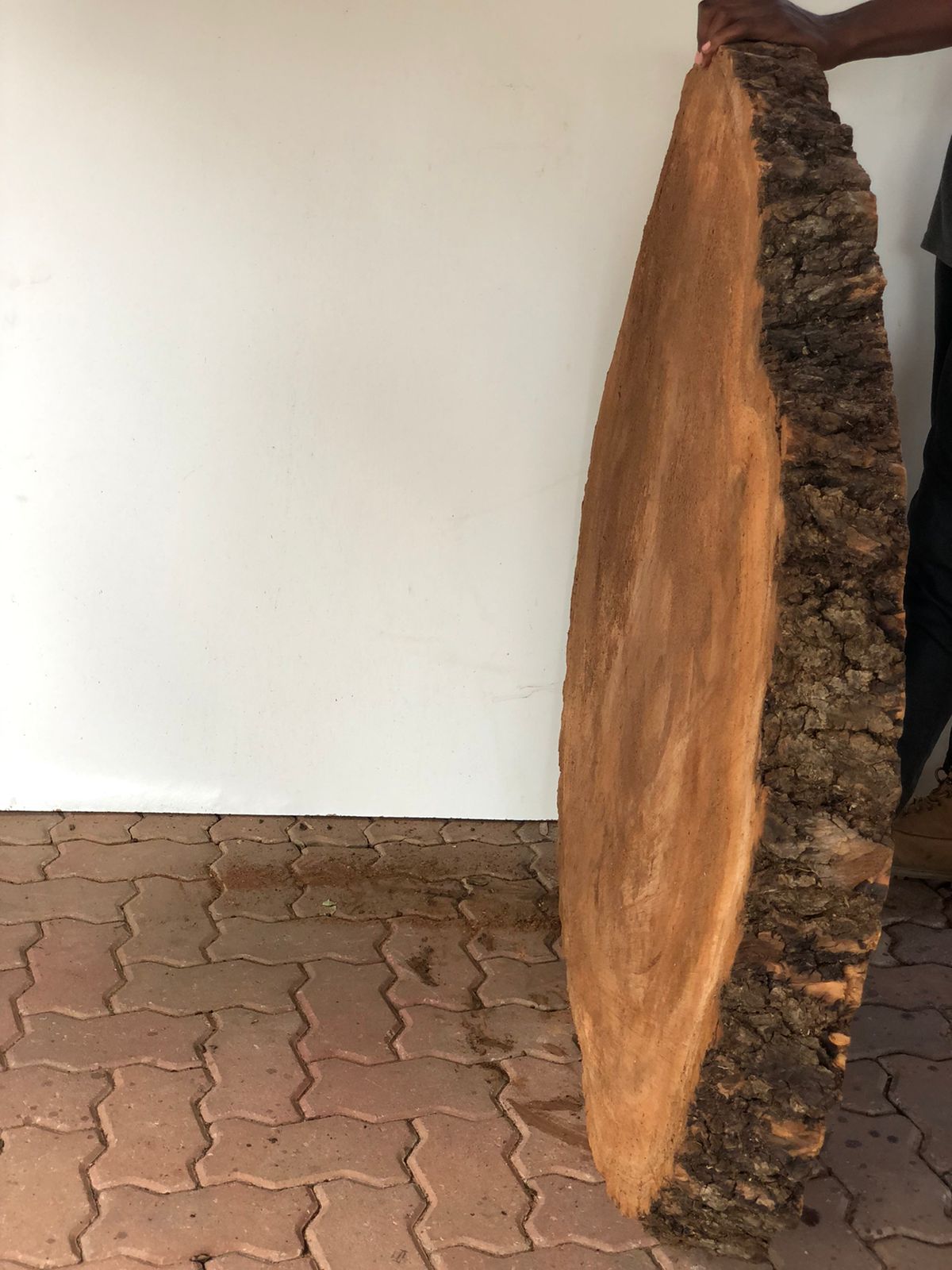 Live Edge | TJ Tree Felling