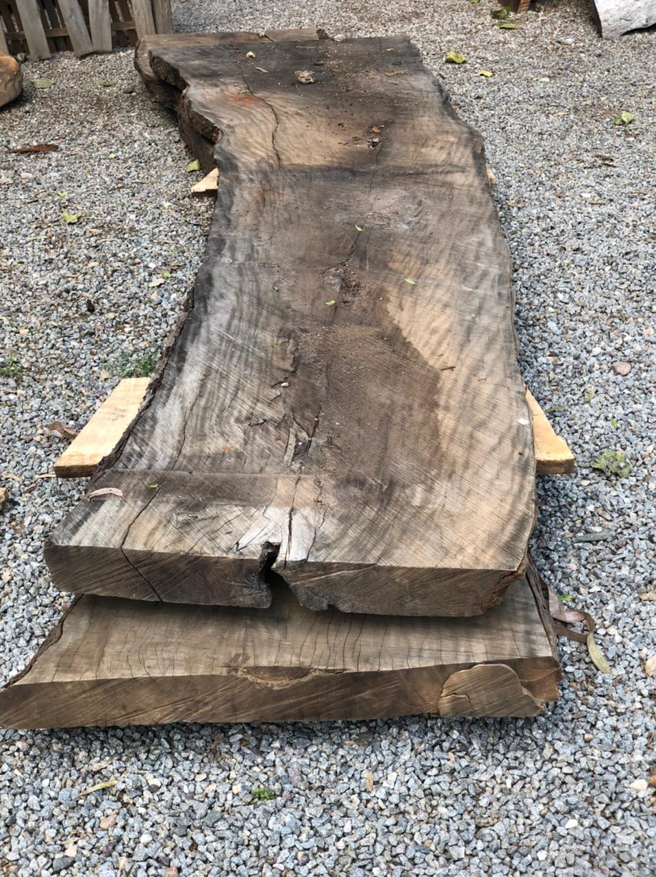 Live Edge | TJ Tree Felling